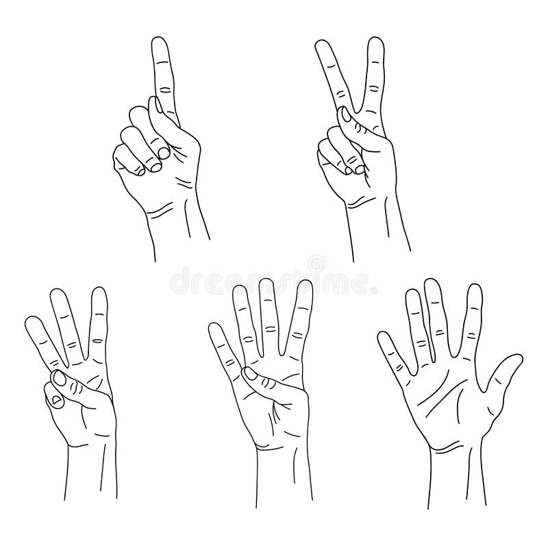 The Drawing of a Human Hand. R is the Eighteenth Letter of the Alphabet ...