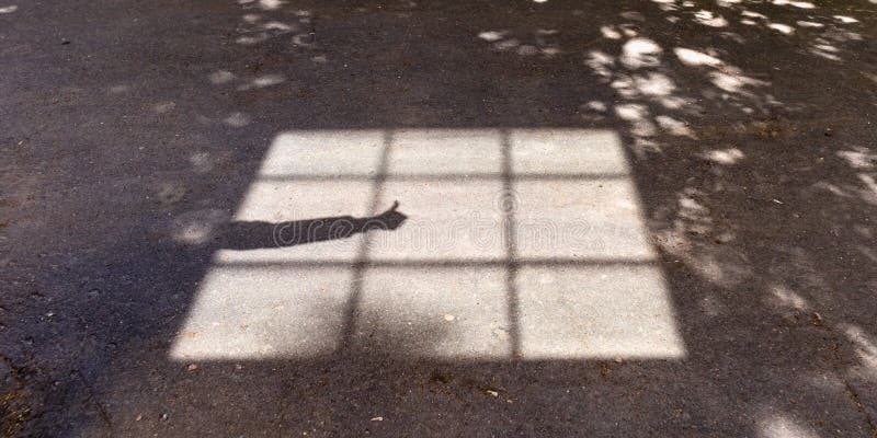 Hand Gesture Everything is Fine Against the Background of the Shadow of ...