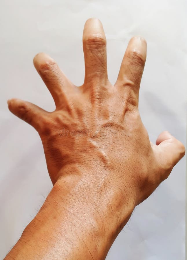 Hand gesture idea stock image. Image of idea, gesture - 179716113