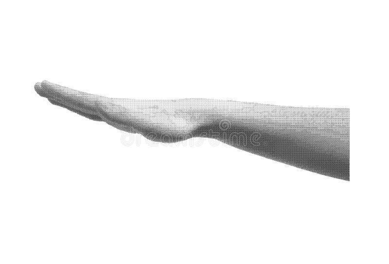 Hand Gesture, Showing Limit, Limitation Isolated on White Background ...