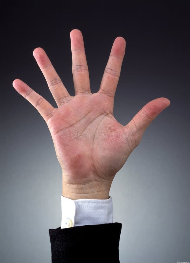 Hand Gestures stock image. Image of business, five, adults - 40522109