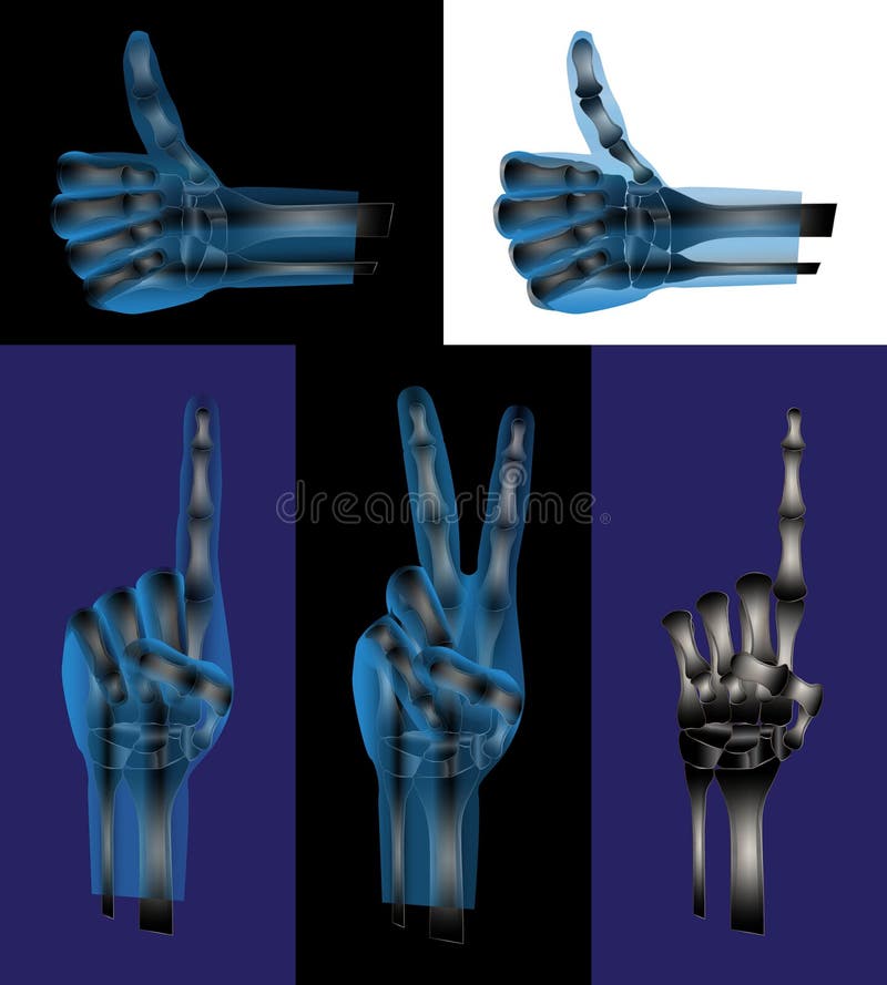Ok Sign Hand Skeleton Stock Illustrations – 44 Ok Sign Hand Skeleton ...