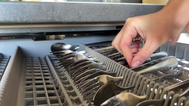 Hand Getting Silverware from Dishwasher Tray in Modern Kitchen Stock ...