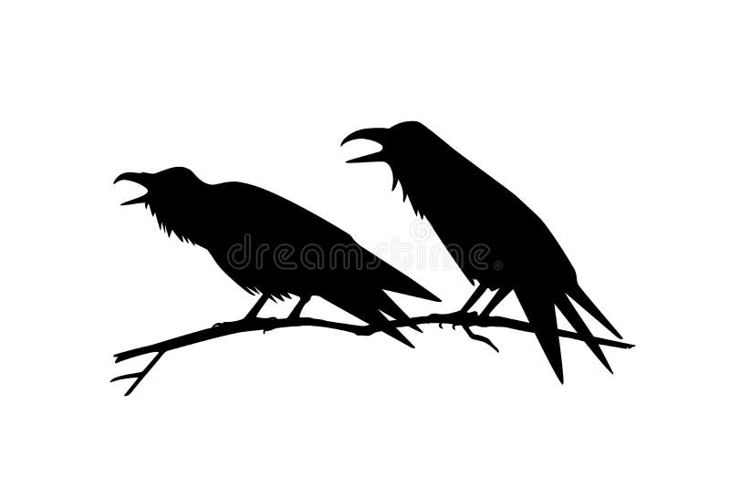 Hand gezeichnete Raben vektor abbildung. Illustration von corbie - 86511086