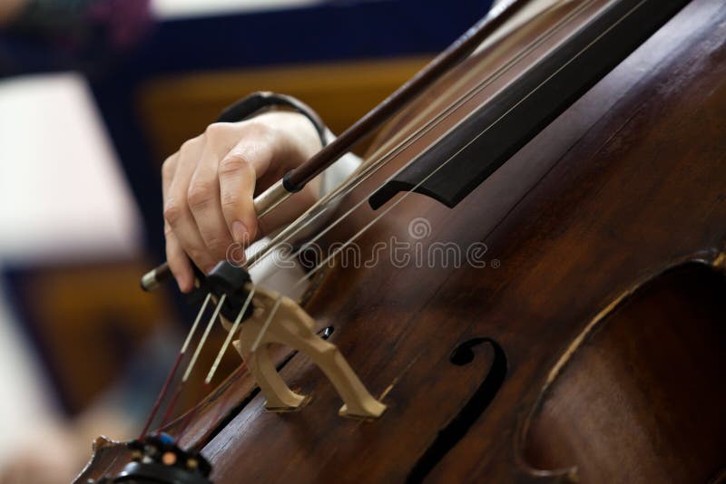 Hand girl playing cello stock photo. Image of passion - 73840792