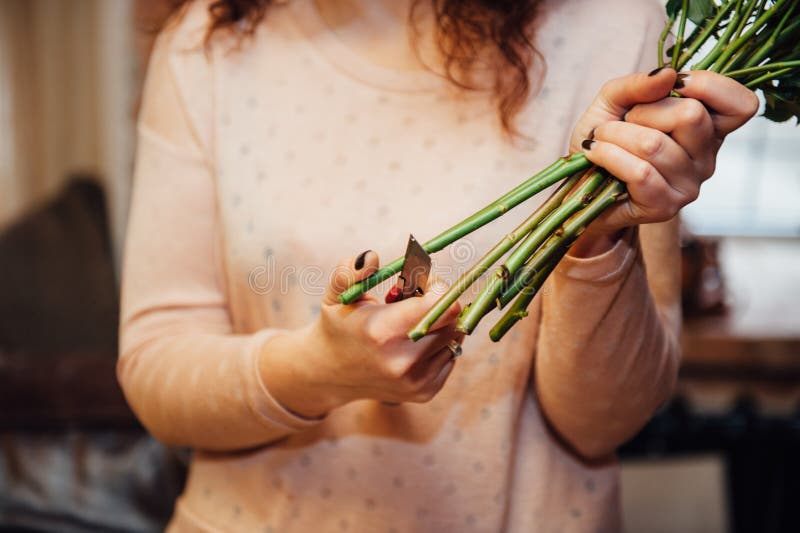 Hand Girl with Scissors Cuts the Stalk of Flower Stock Photo - Image of ...