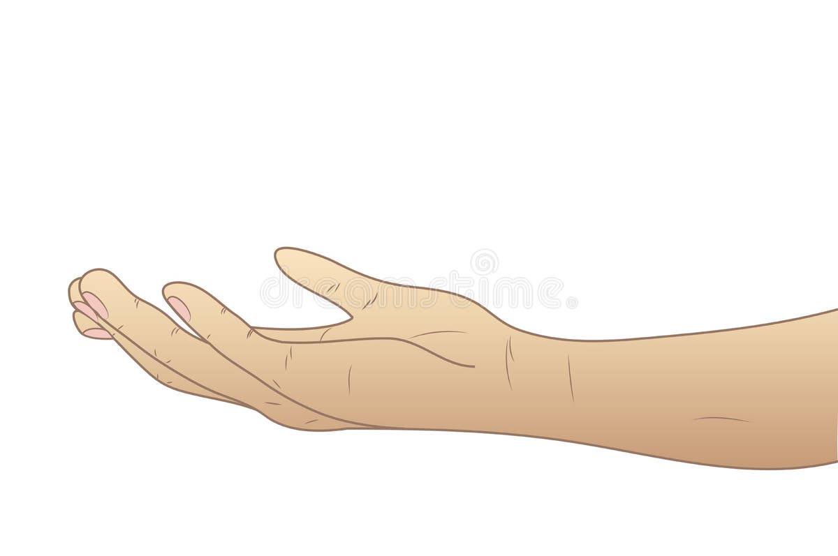 Palm Up Stock Illustrations – 14,170 Palm Up Stock Illustrations ...