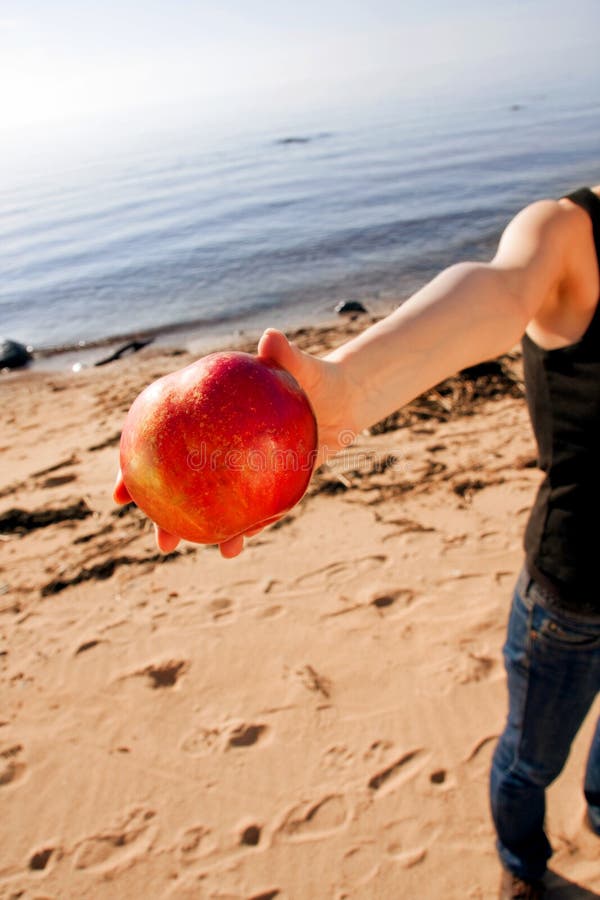 Hand giving apple at beach stock photo. Image of hand - 9196812