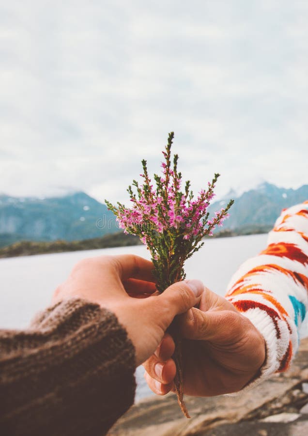 Hand Giving Flowers Bouquet Romantic Couple In Love Stock Image Image