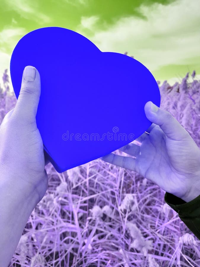 Hand Giving Gift Box in Heart Shape Stock Photo - Image of giving ...