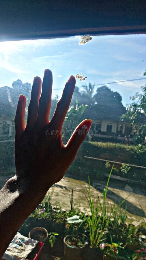 Hand in glass in morning stock image. Image of nature - 222360741