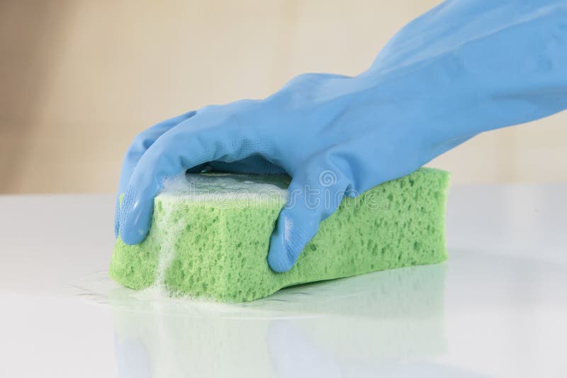 Hand in Glove Holding Sponge, Back View Stock Photo - Image of white ...