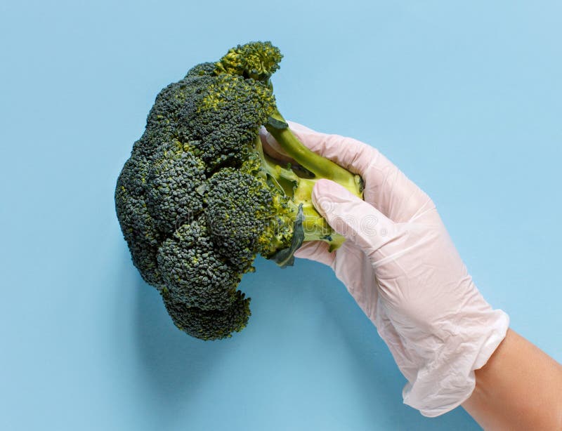 Hand in Glove Keeping Broccoli Over Light Blue Background Stock Photo ...