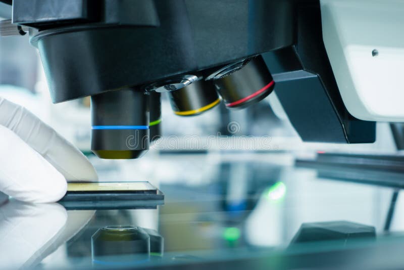 Hand with Glove Put the Small Samples Under Microscope for Magnify Part ...
