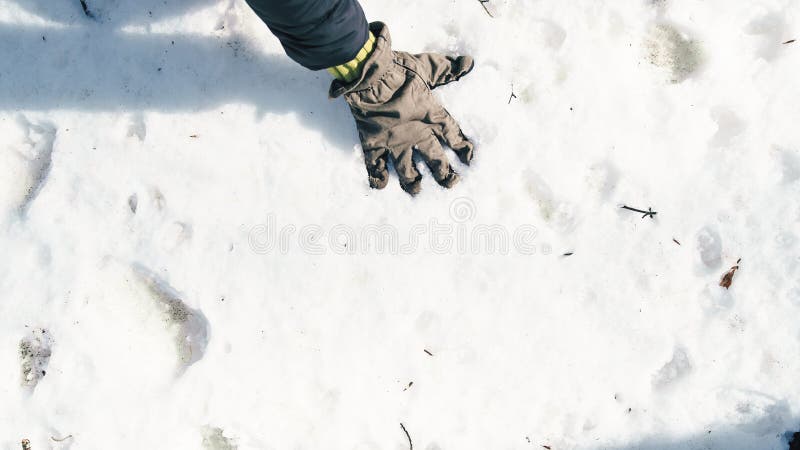 Hand with Gloves Touching Snow Stock Image - Image of scenic, north ...
