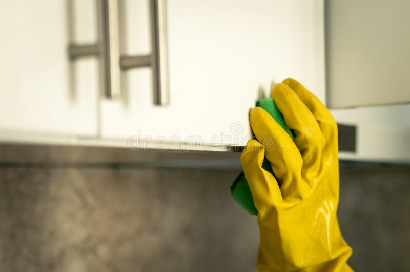 Hand with gloves washing stock image. Image of maid - 220486215