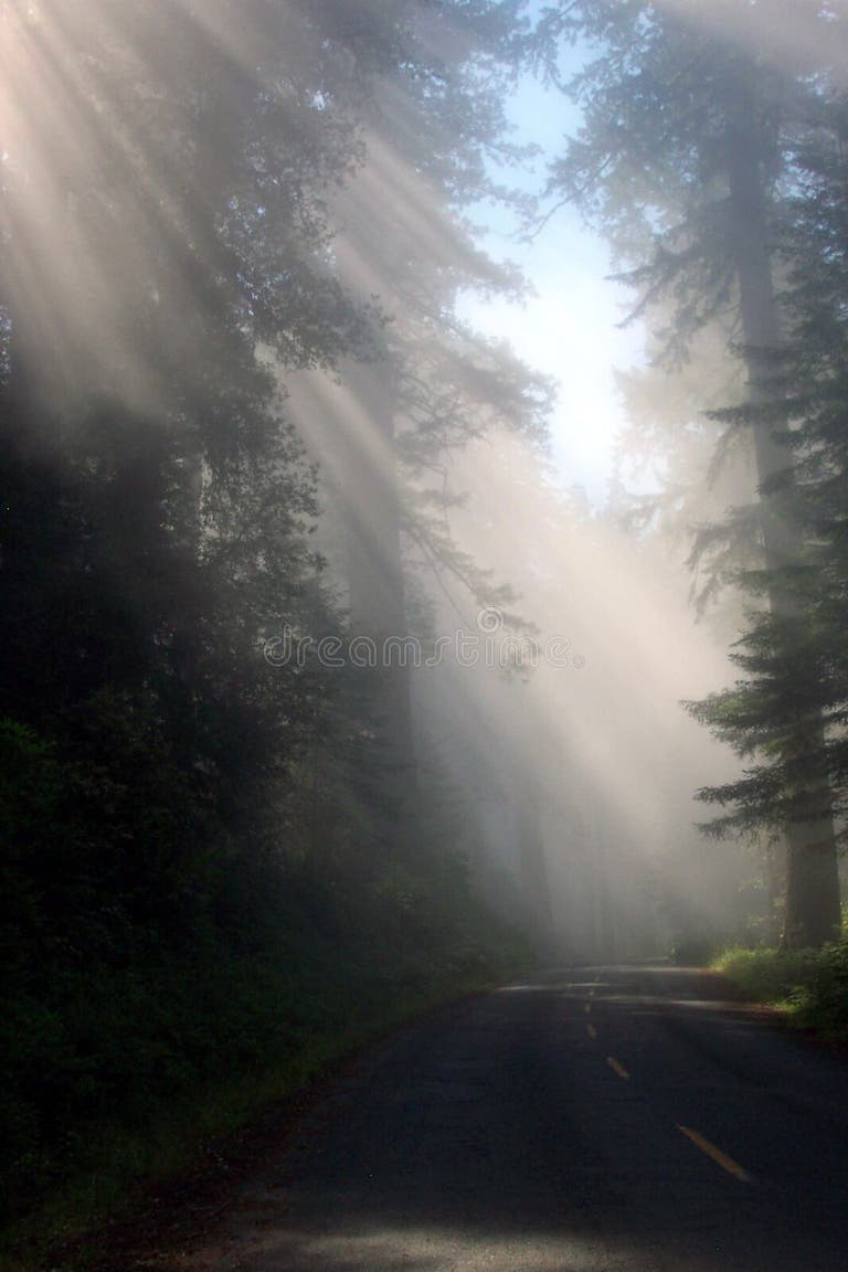 God Reaching Down Stock Photos - Free & Royalty-Free Stock Photos from ...