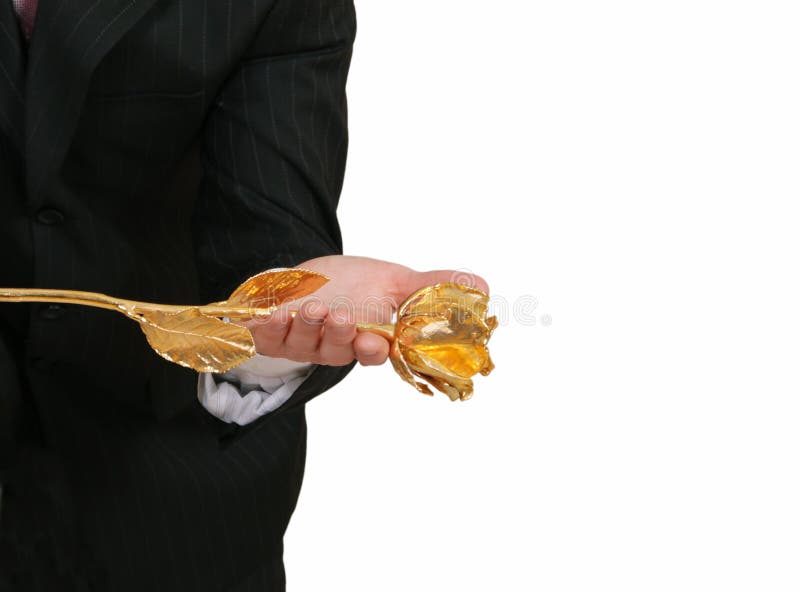 Hand with golden rose stock photo. Image of dating, elegant - 13223190