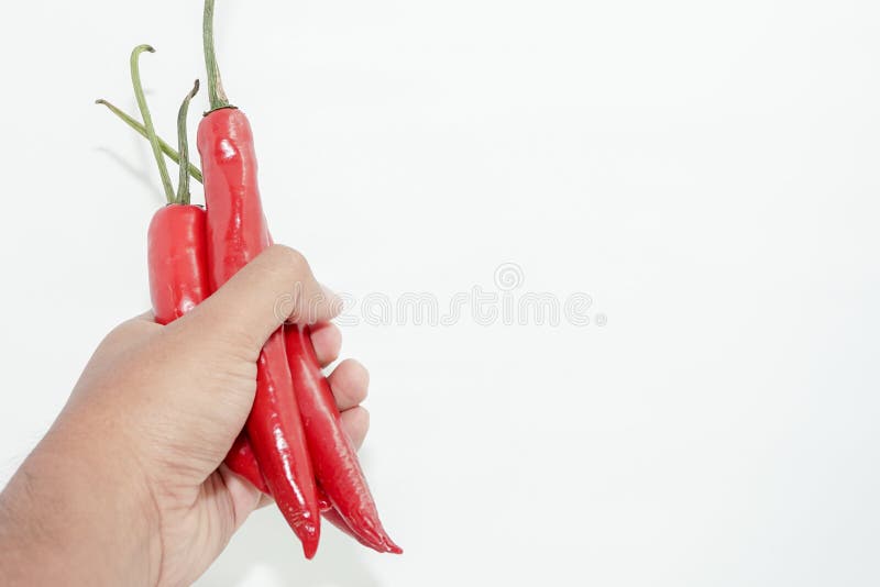 Grab Red chilli stock photo. Image of chilli, flower - 271816260