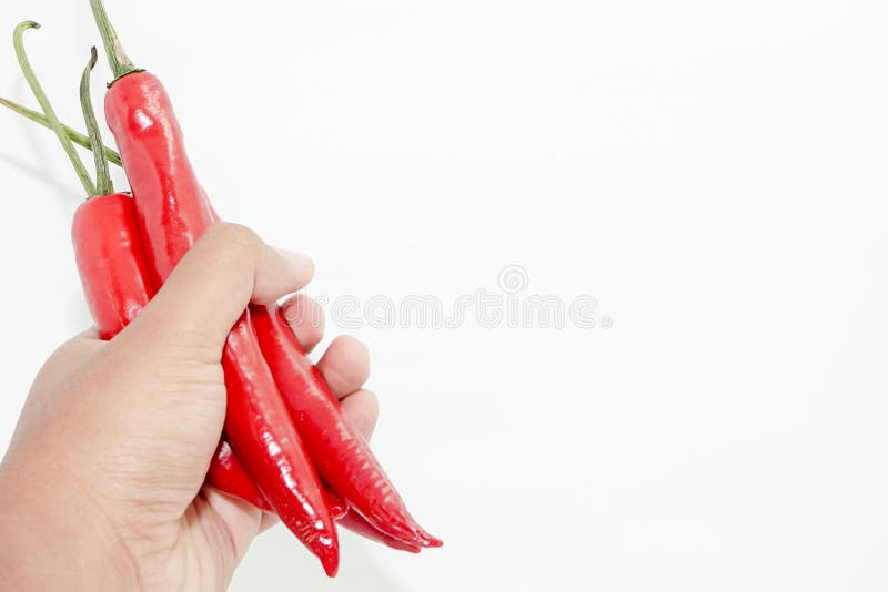 Hand Grab Red Hot Chili Peppers on White Background. Front View Stock ...