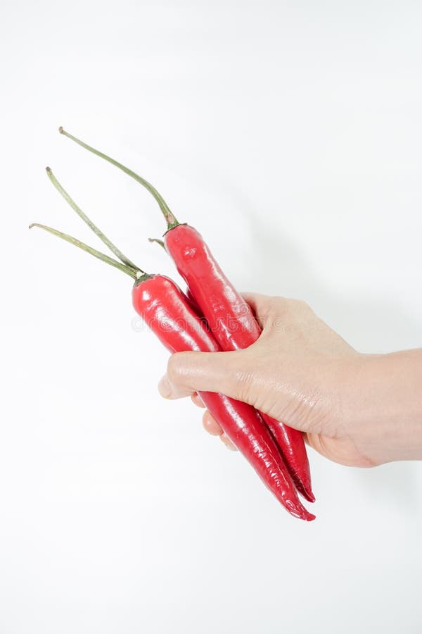 Grab Red chilli stock photo. Image of chilli, flower - 271816260