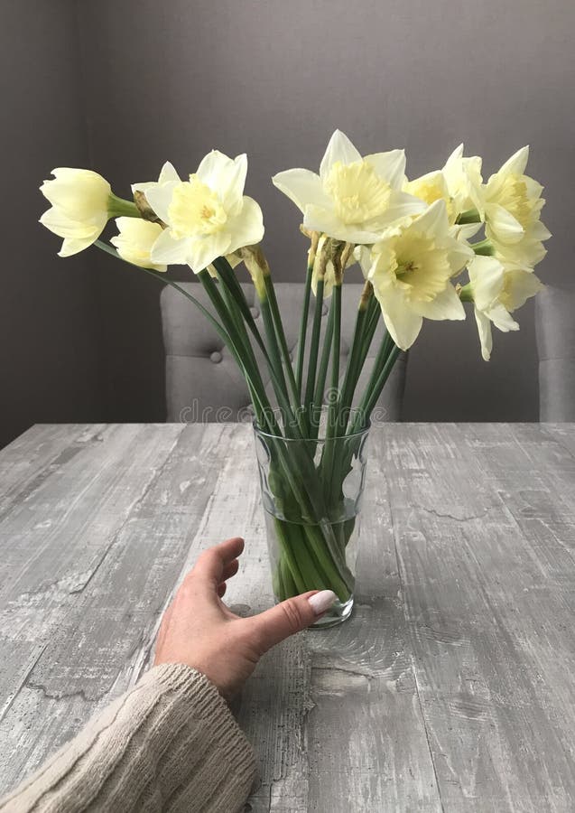 Hand Grabbing a Glass Filled with Daffodils Stock Photo - Image of hand ...