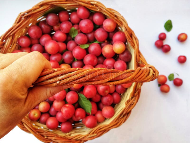 Hand Grabs a Basket of Plums Stock Photo - Image of perspective ...