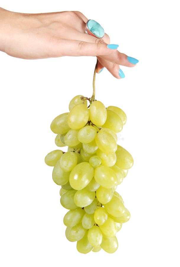 Hand and grape stock image. Image of vine, color, grape - 19927345