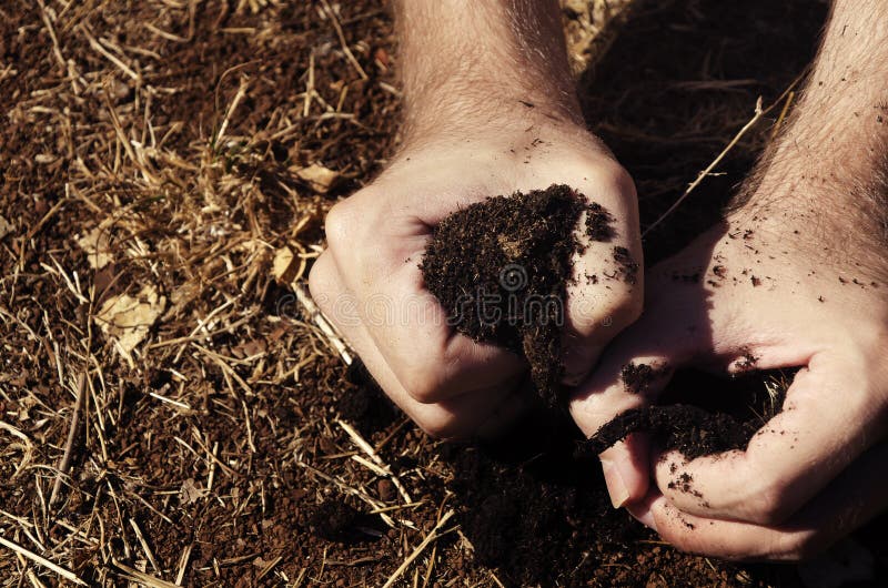 Hand Grasping a Dry Patch of Earth Stock Photo - Image of holding ...