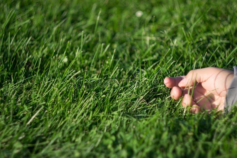 Hand on the Grass in Beautiful Day, Relax Day, Relax Hand on the Stock ...