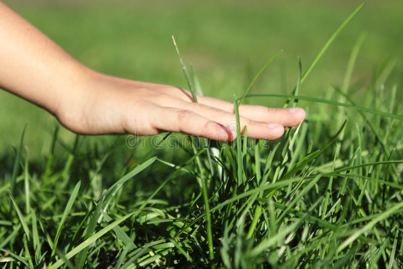 69+ Hand touching grass Free Stock Photos - StockFreeImages
