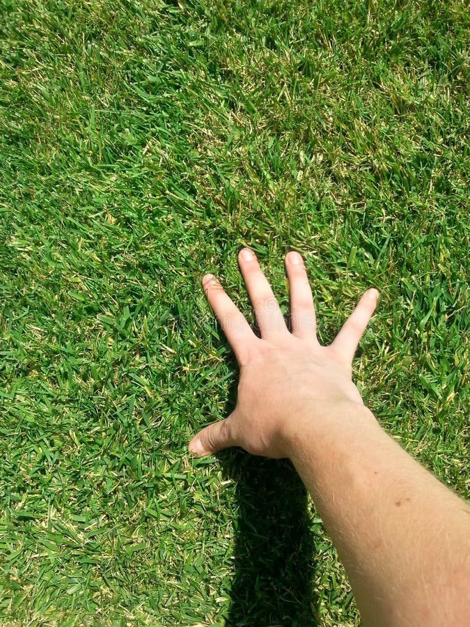 Hand in grass stock photo. Image of finger, grass, lawn - 43135214