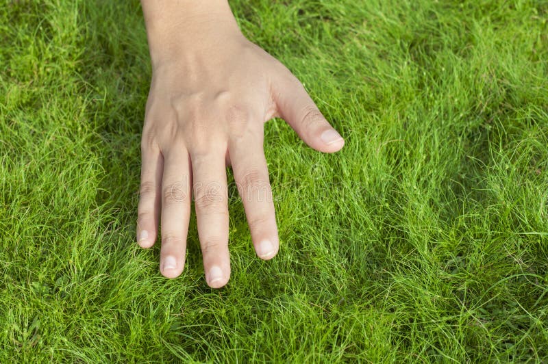 Hand on grass stock photo. Image of grass, gardening - 30821324