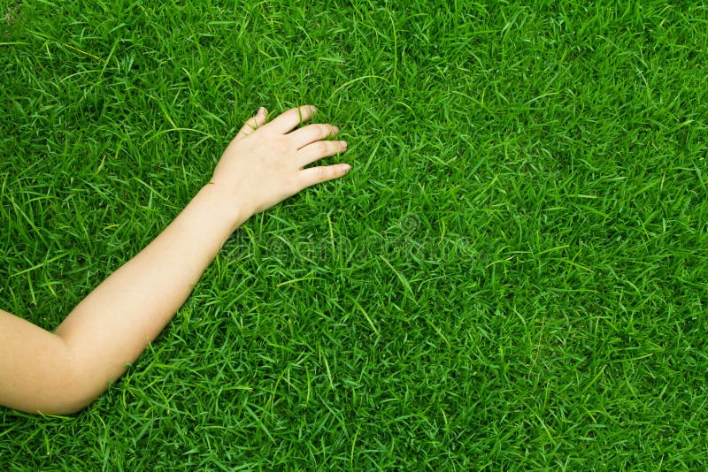 Hand on green grass. stock photo. Image of growth, grass - 25258950