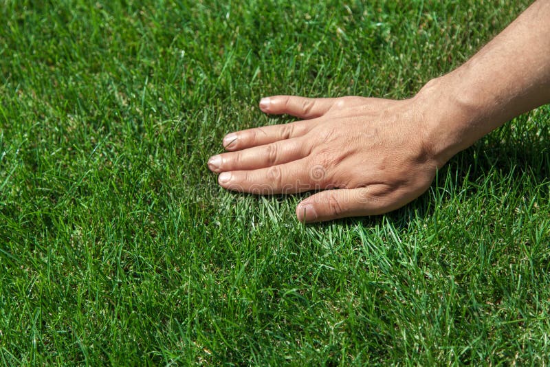 Hand on green grass stock photo. Image of hockey, feeling - 140973240