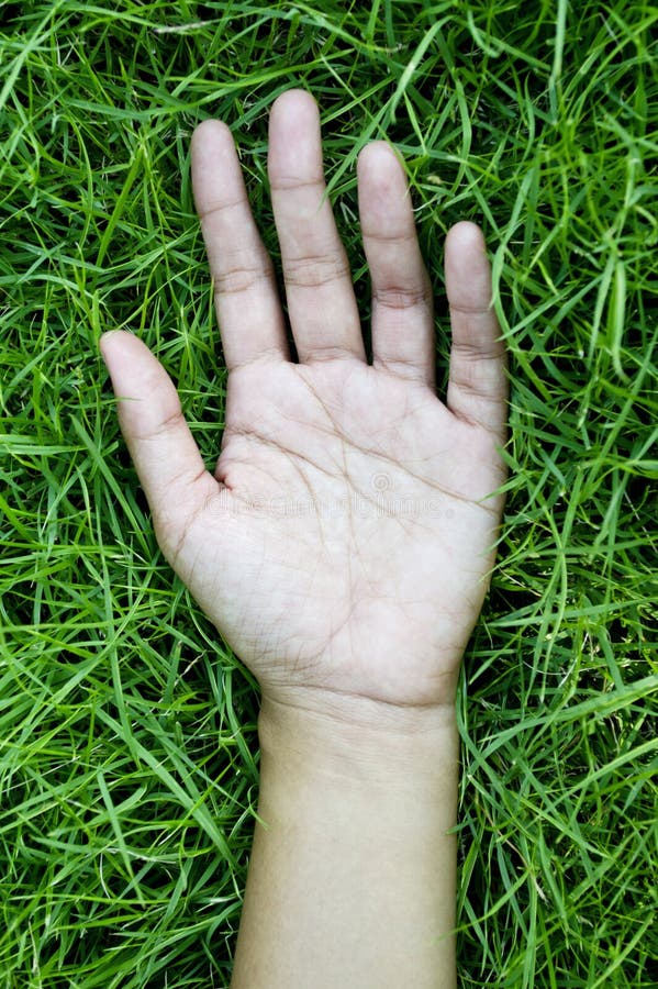 4,245 Hand Touching Grass Stock Photos - Free & Royalty-Free Stock ...