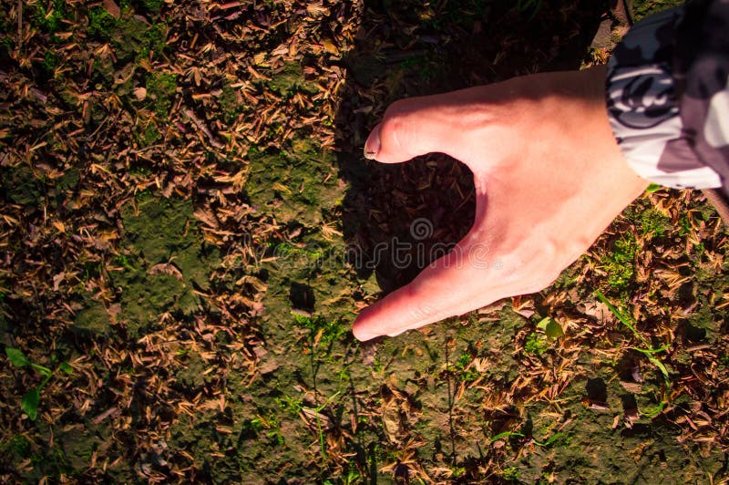 Hand half heart in sunset stock image. Image of dazzling - 93472641