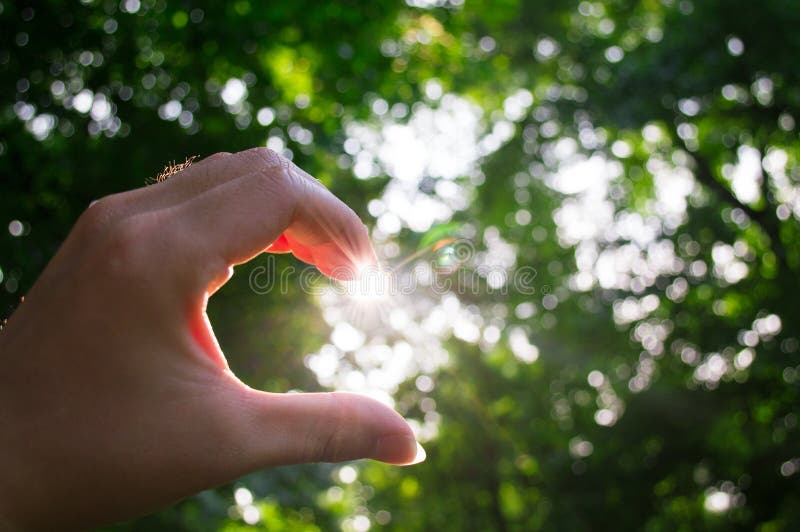 Hand half heart stock image. Image of hand, sunny, sunset - 93472267