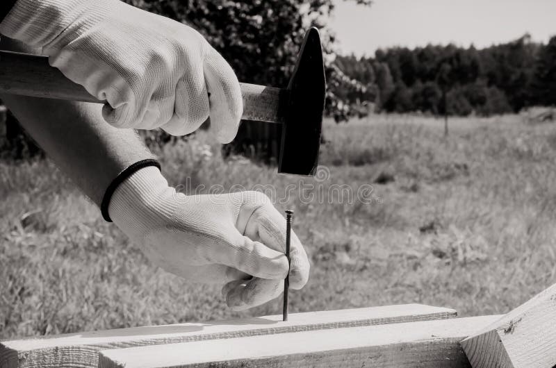 A Hand with a Hammer Hammers a Nail into a Wooden Board. Construction ...