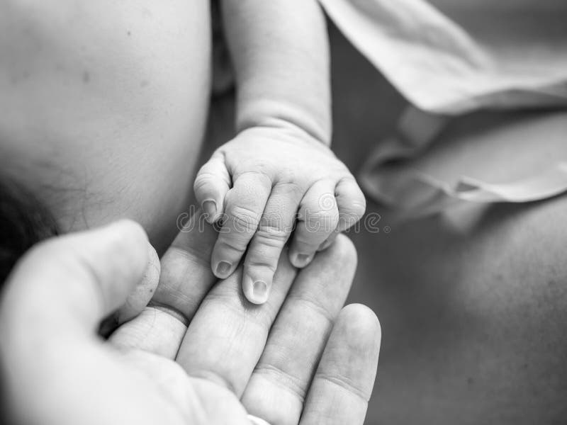 Hand on Hand stock photo. Image of little, human, life - 85126742