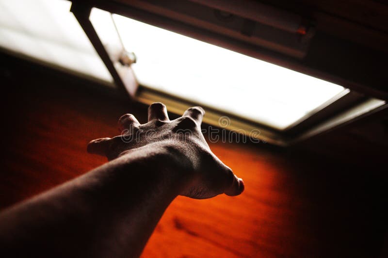 Hand stock photo. Image of close, female, human, concepts - 61309166