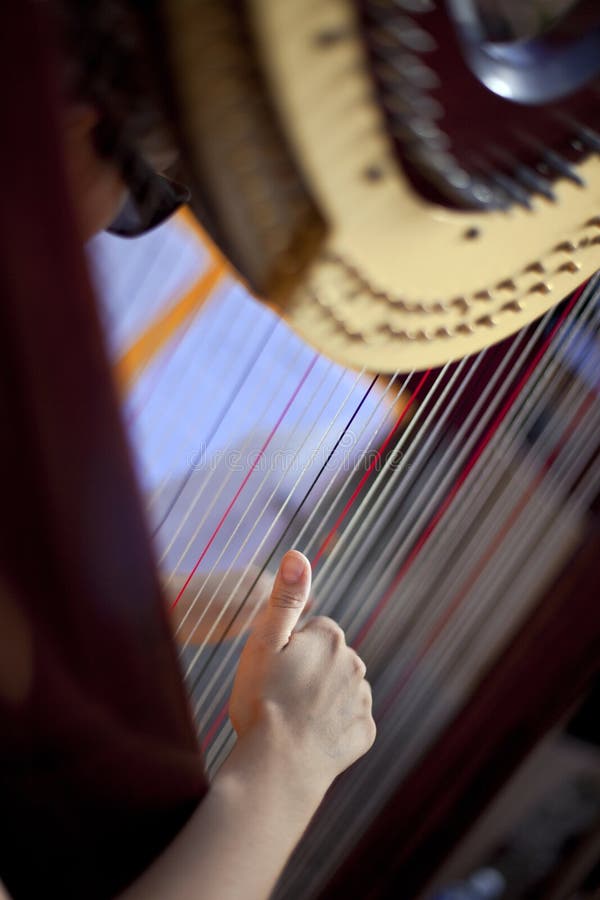 Hand and harp stock photo. Image of concerto, skin, inch - 41162462