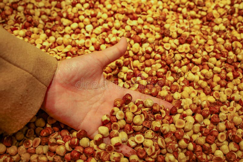Hand in the Hazelnut for Food Background Stock Image - Image of ...