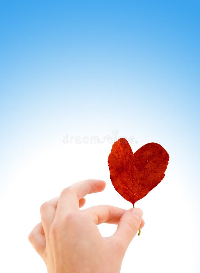 Hand with a heart stock photo. Image of design, closeup - 3941796