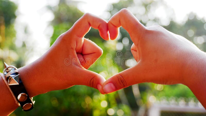 Hand is the heart stock image. Image of front, morning - 139602927