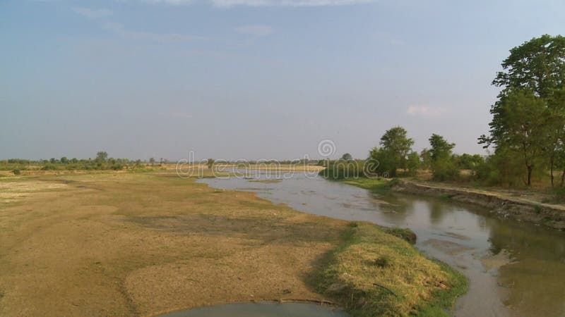 A River Separates the Dry Land from the Forest Stock Video - Video of ...