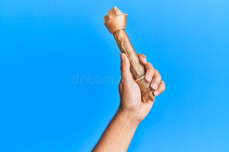 Male Dog Anatomy Illustration Stock Photos - Free & Royalty-Free Stock ...