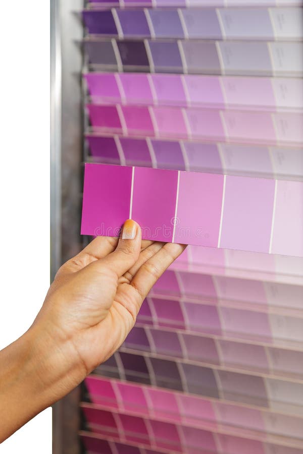 Hand Hold Colored Swatches Choose Paint Sample Stock Photos - Free ...