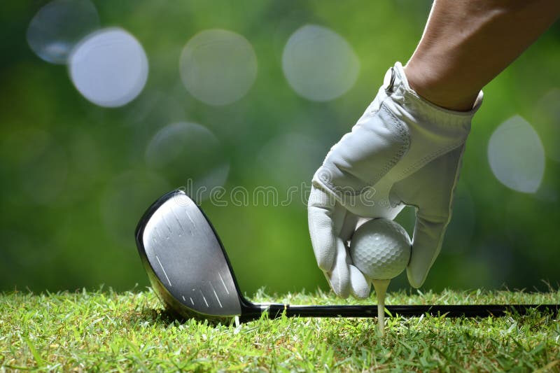Hand Hold Golf Ball with Tee Stock Photo - Image of natural, green ...