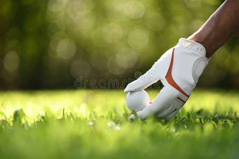 Hand Hold Golf Ball with Tee on Golf Course Stock Image - Image of ...